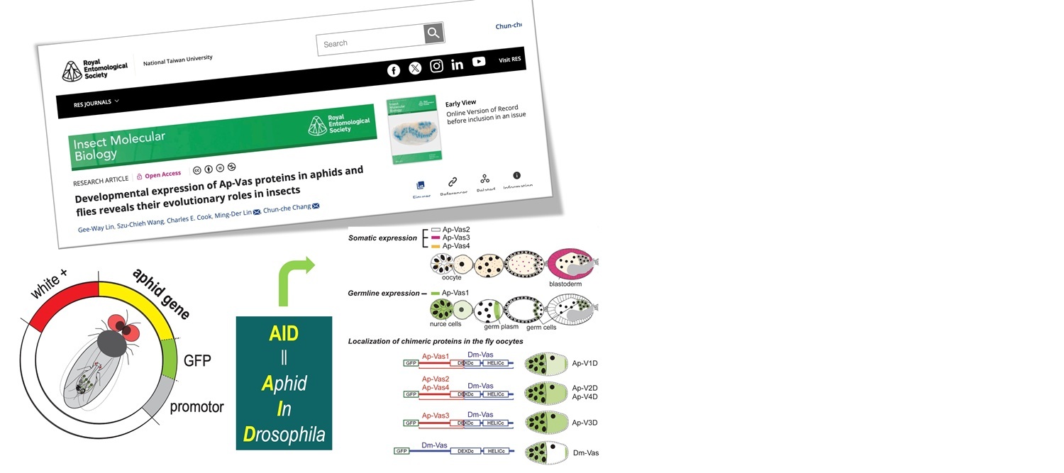 NTU-MST Program | 台大分子科學與技術國際研究生博士學位學程 - The “AID Project”: Uncovering ...
